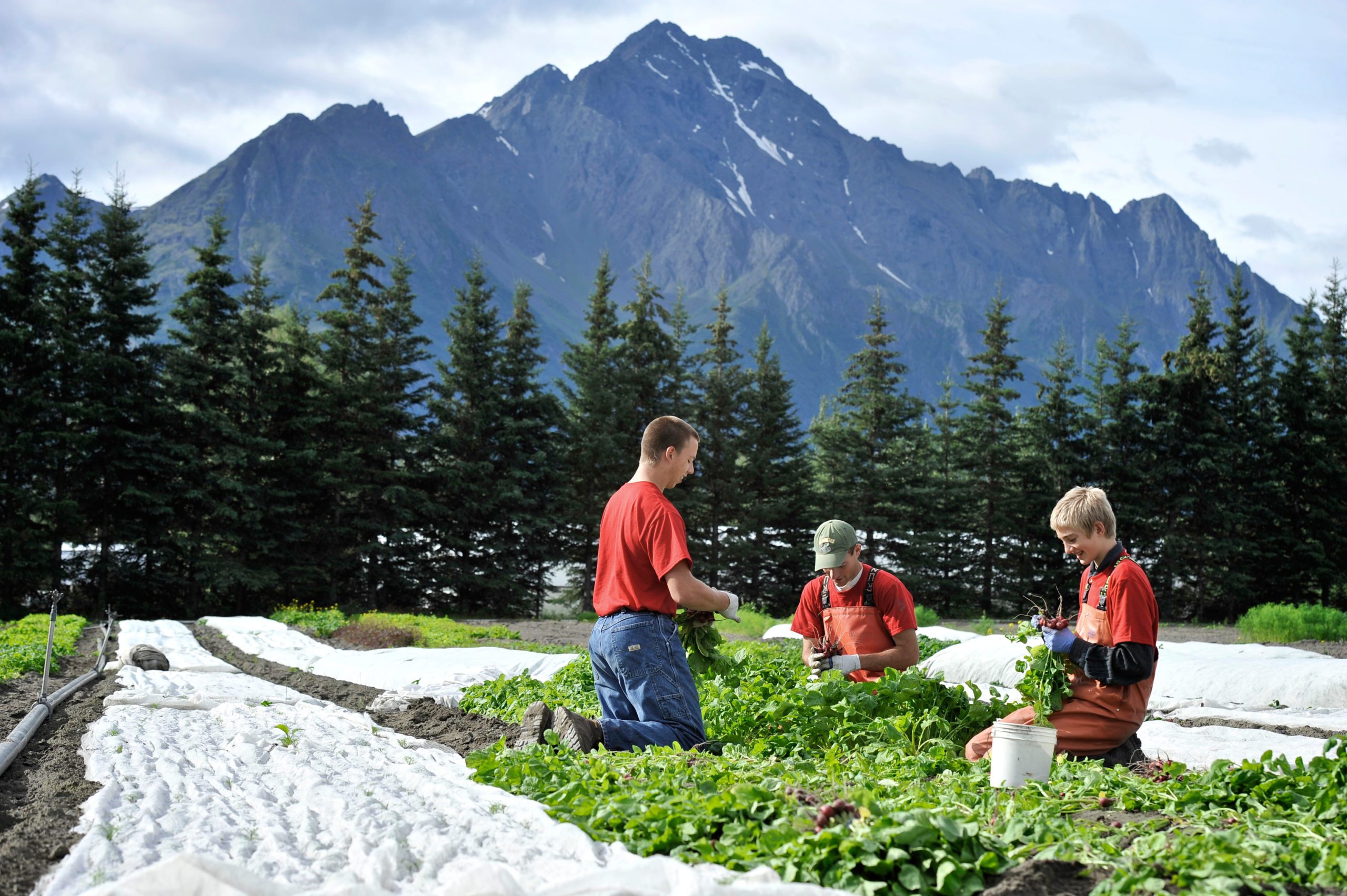 Farm-to-Table Alaska Tour | Farm Tours to Cuisine | Private Luxury ...