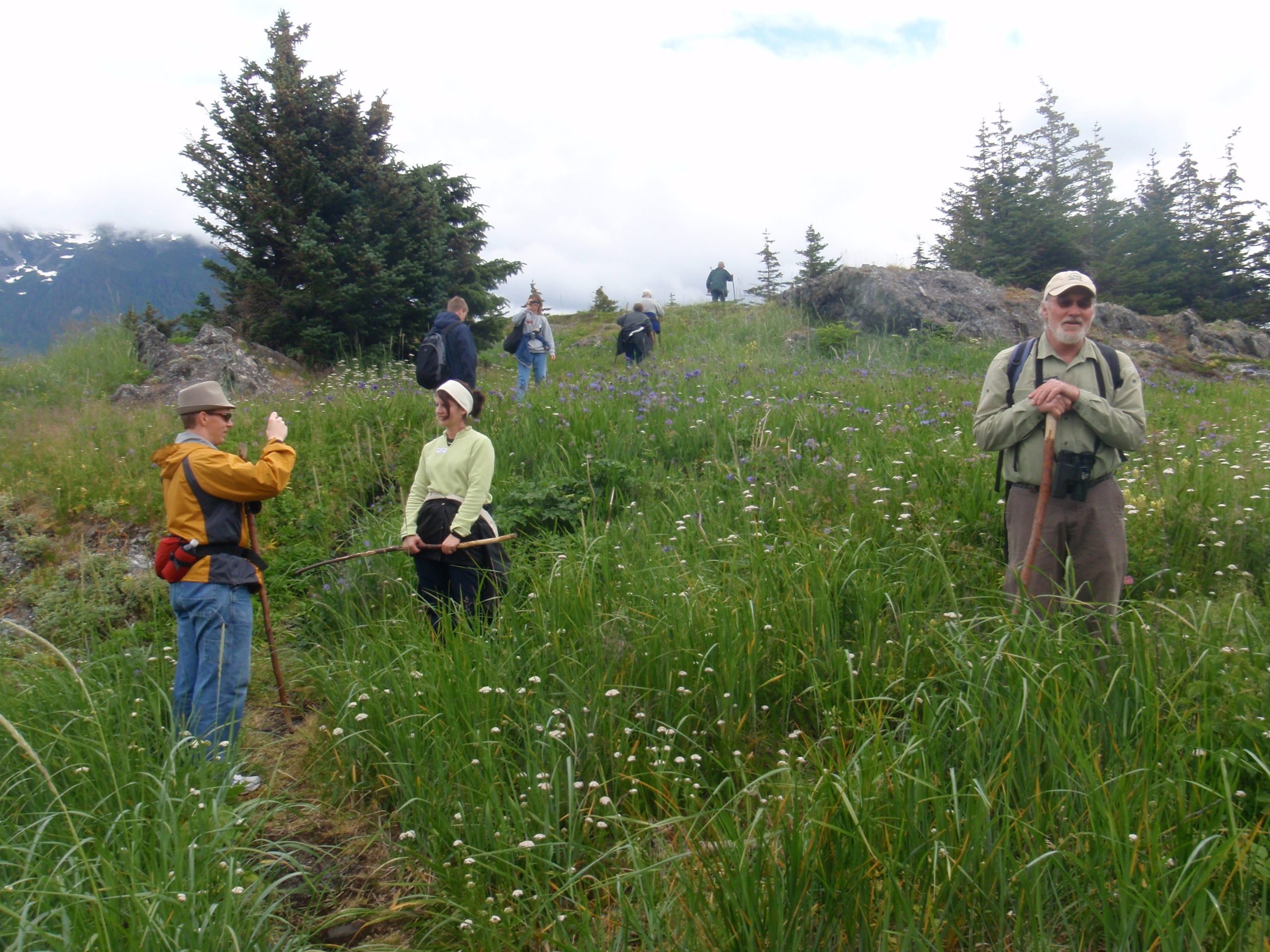 Chilkat Rainforest Hiking Day Tours | Private, Guided Tours: Haines, Alaska